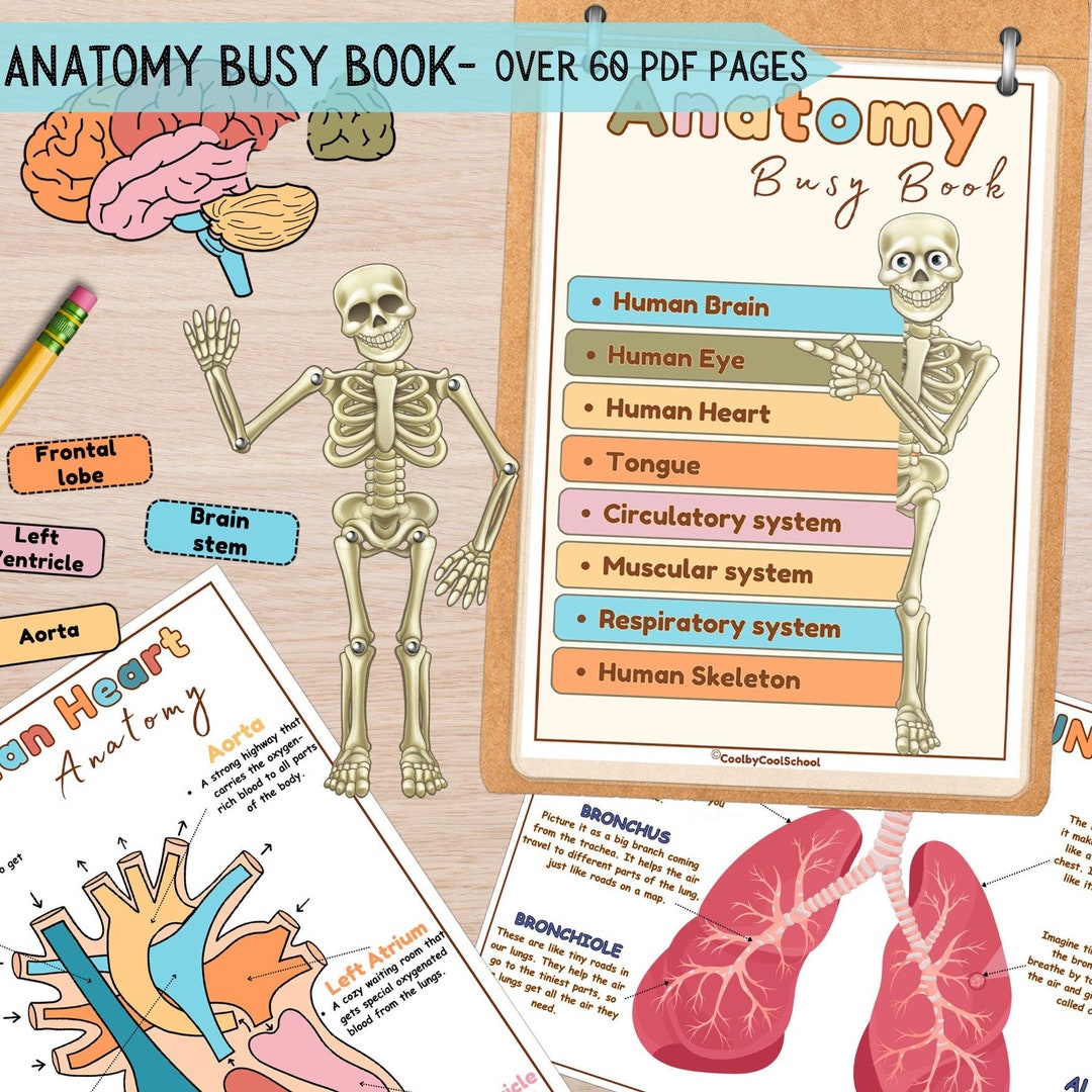 Anatomy Mega Bundle for Kids, Interactive Anatomy Busy Book, Learning ...