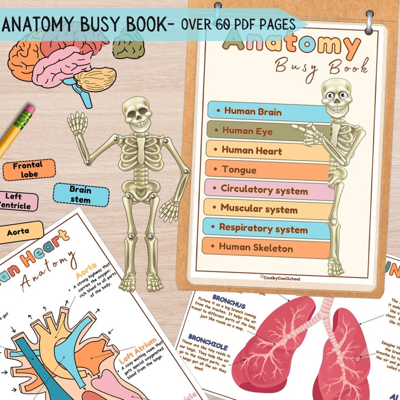 Anatomy Mega Bundle for Kids, Interactive Anatomy Busy Book, Learning ...