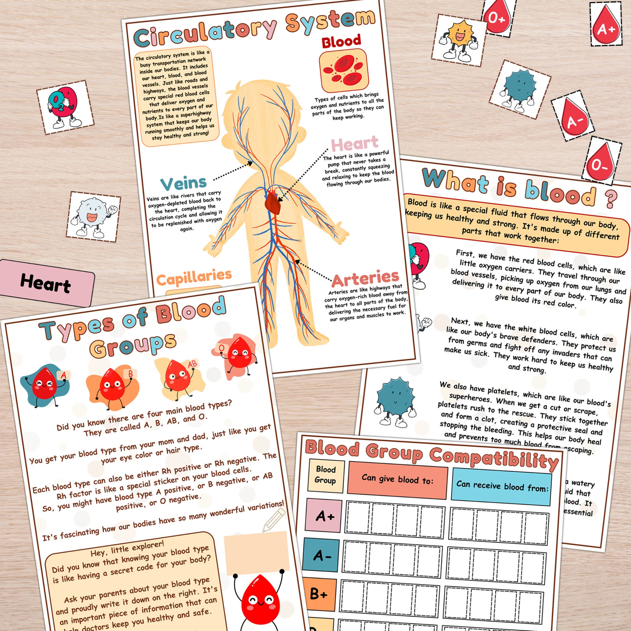 Anatomy Mega Bundle for Kids Interactive Anatomy Busy Book - Etsy