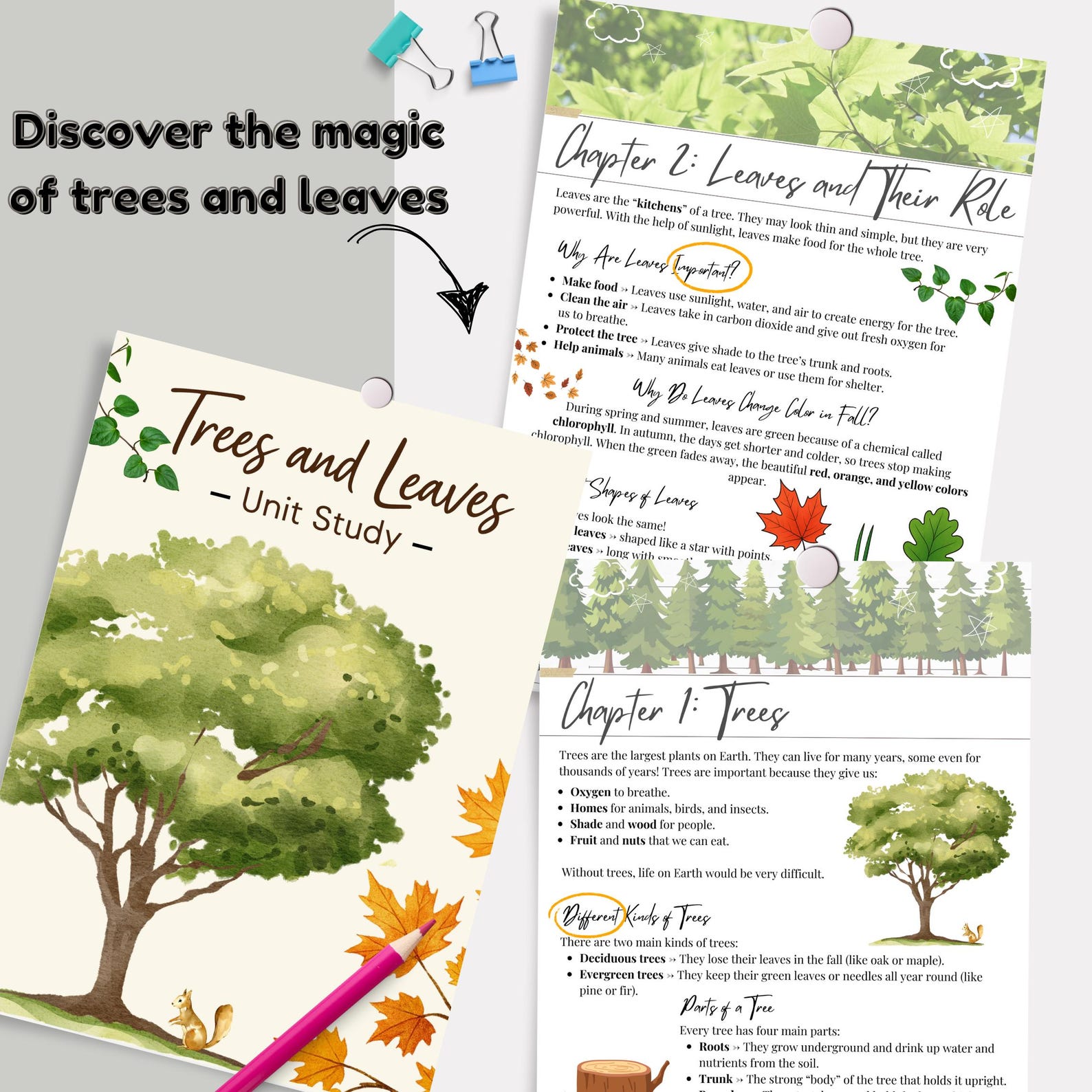Trees and Leaves Unit Study for Kids | Fall Homeschool Printable ...