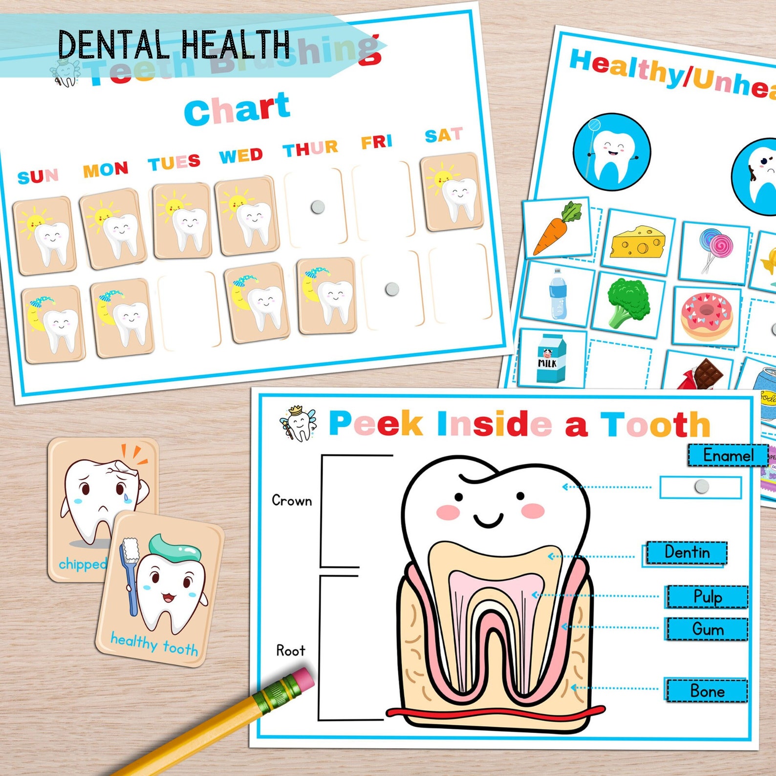 Dental Health Printable Activity for Kids, Tooth Anatomy, Montessori ...