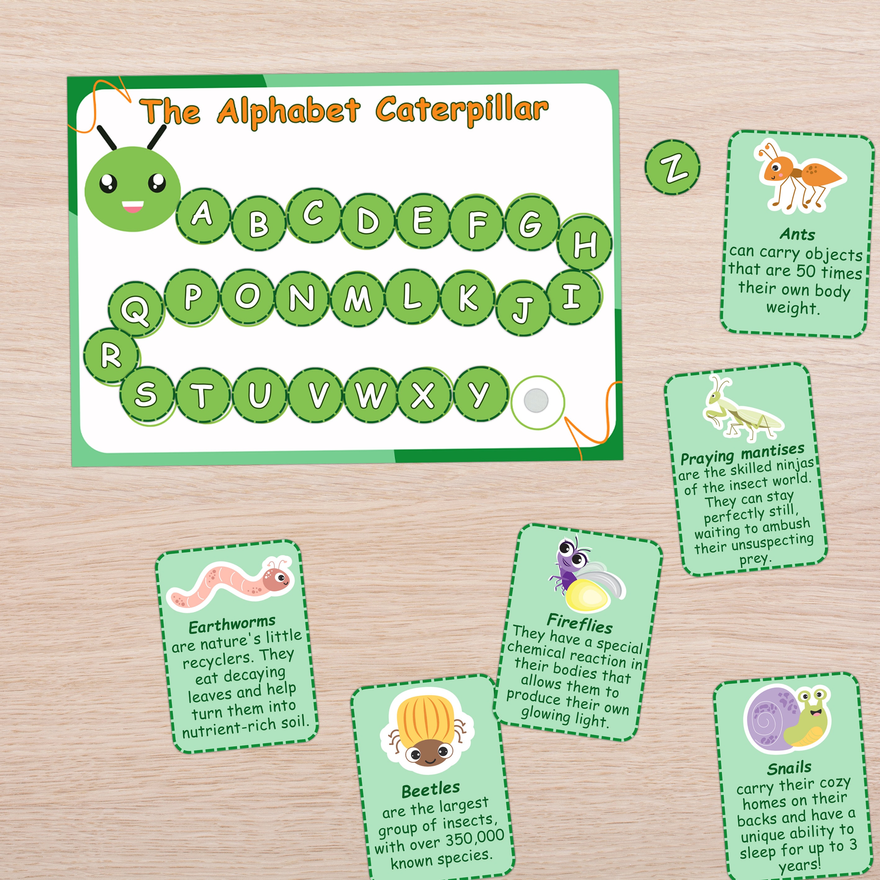 Bugs & Insects Busy Book: Toddler Learning Binder (digital Download) - Etsy