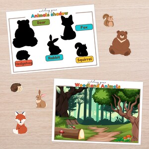 Animals Habitat Sorting Activity for Kids, Learning Animals for ...