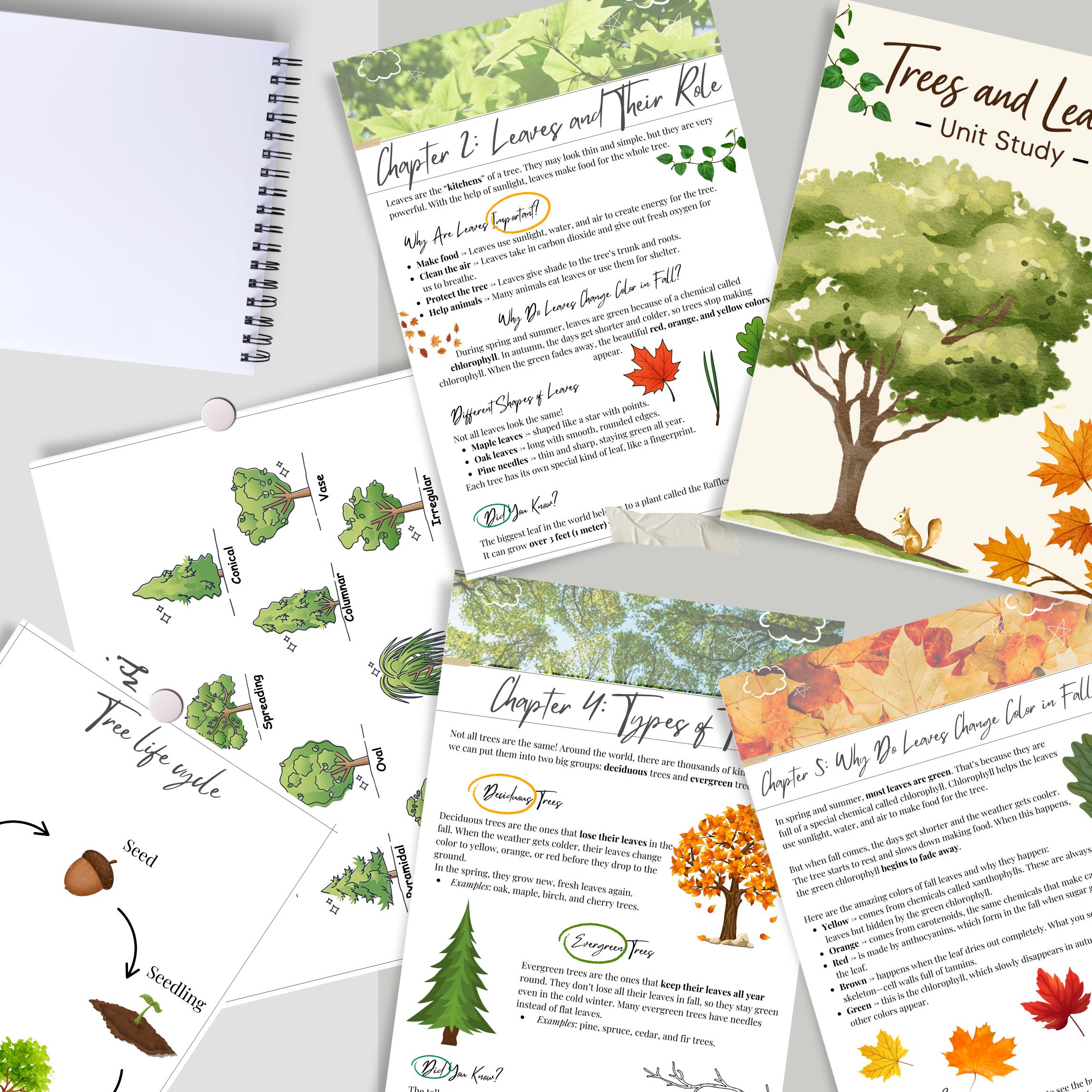 Trees and Leaves Unit Study for Kids | Fall Homeschool Printable ...