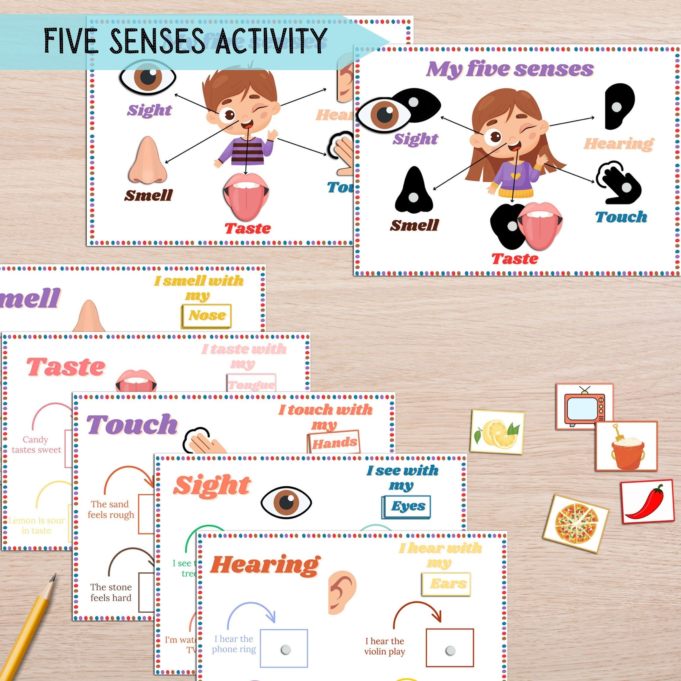 Five Senses Printable Learning, 5 Senses Sorting Activity, Preschool ...