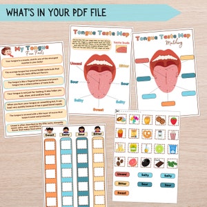 My Body Unit Study Toddler, Tongue Taste Buds for Kids, Anatomy Busy ...