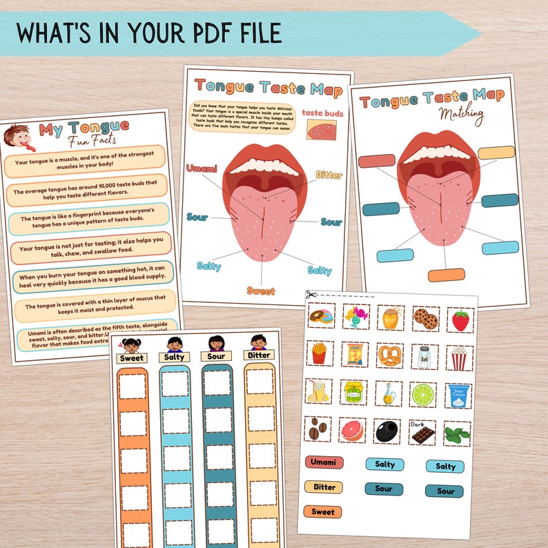 Tongue Taste Map Activity: Anatomy Learning Binder Pages (digital ...