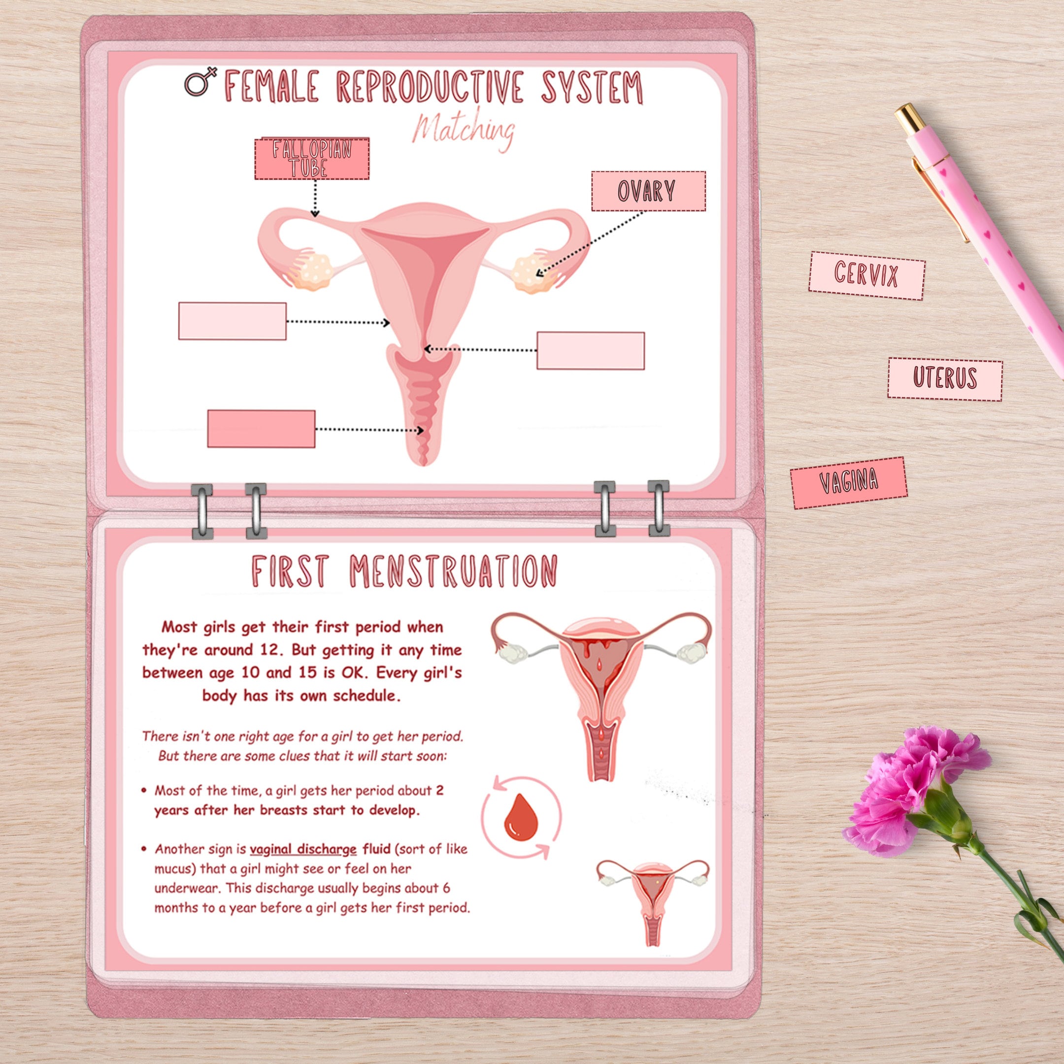 Girls Puberty Guide Teenagers, Personal Hygiene, Emotional Changes ...