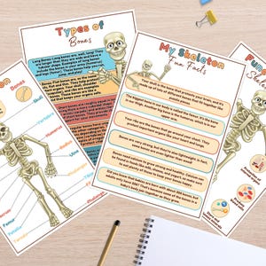 Human Skeleton Anatomy Learning Bundle, Skeleton Activity, Kids Bones ...