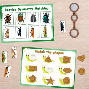 Bugs Busy Book Kids, Insects Flaschards Fun Facts, Learning Binder ...