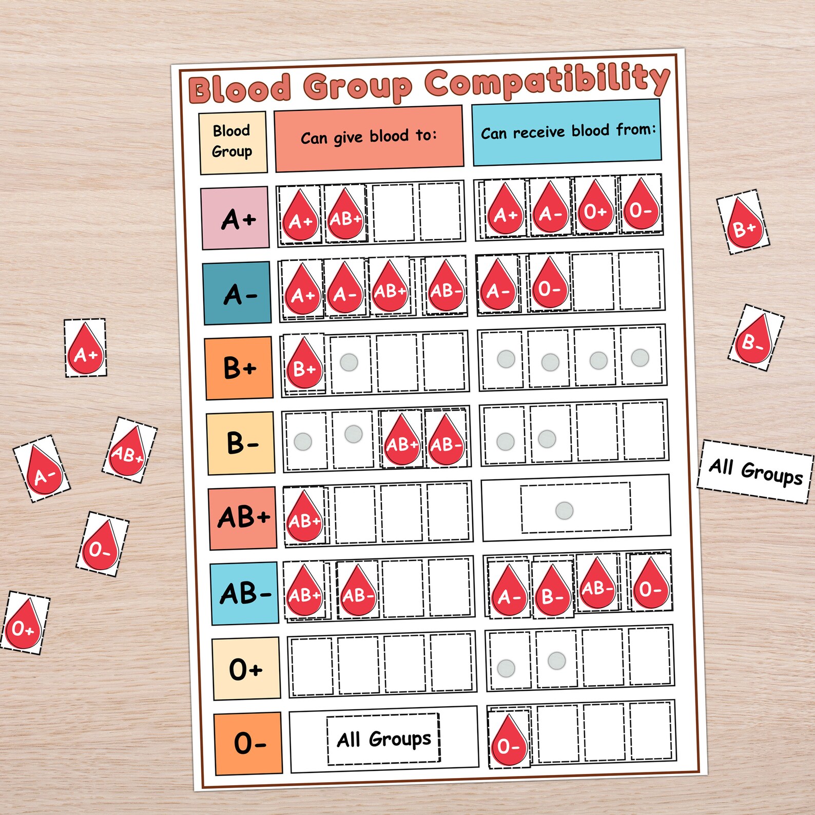 Circulatory System Activity, Blood Types & Compatibility Lesson, My ...
