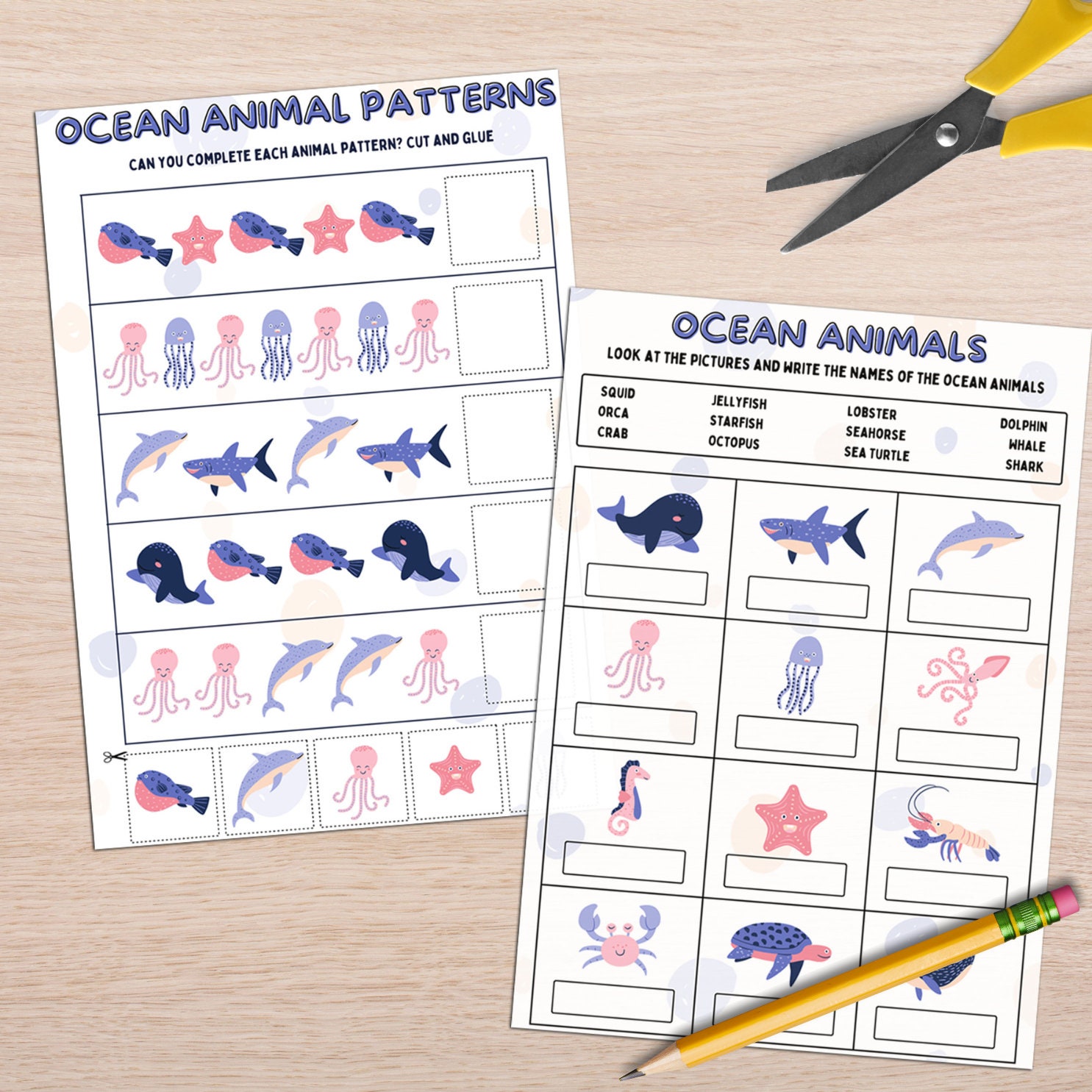 Ocean Animals Activity & Flashcards Under the Sea Worksheets - Etsy