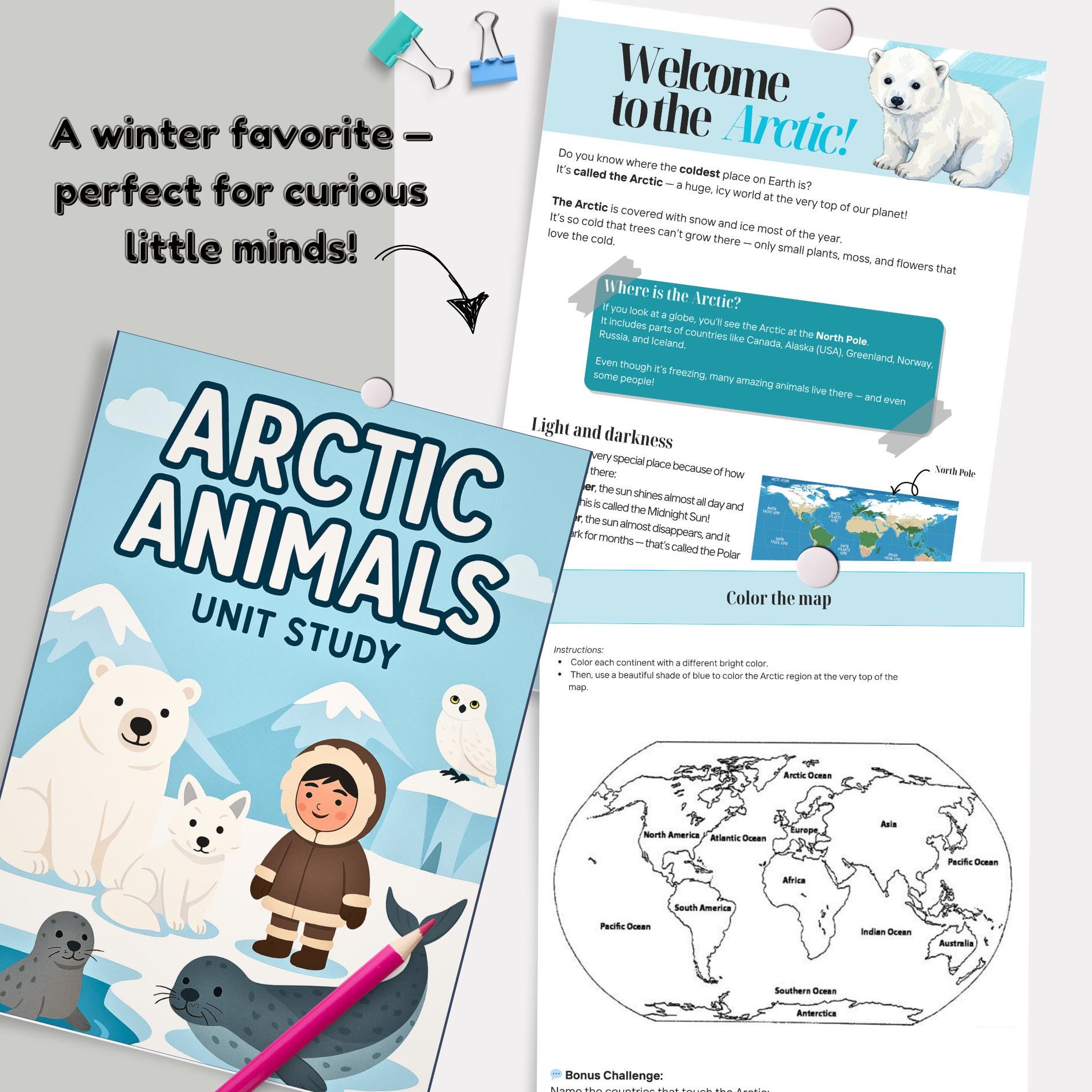Arctic Animals Unit Study for Kids | Winter Science & Geography ...