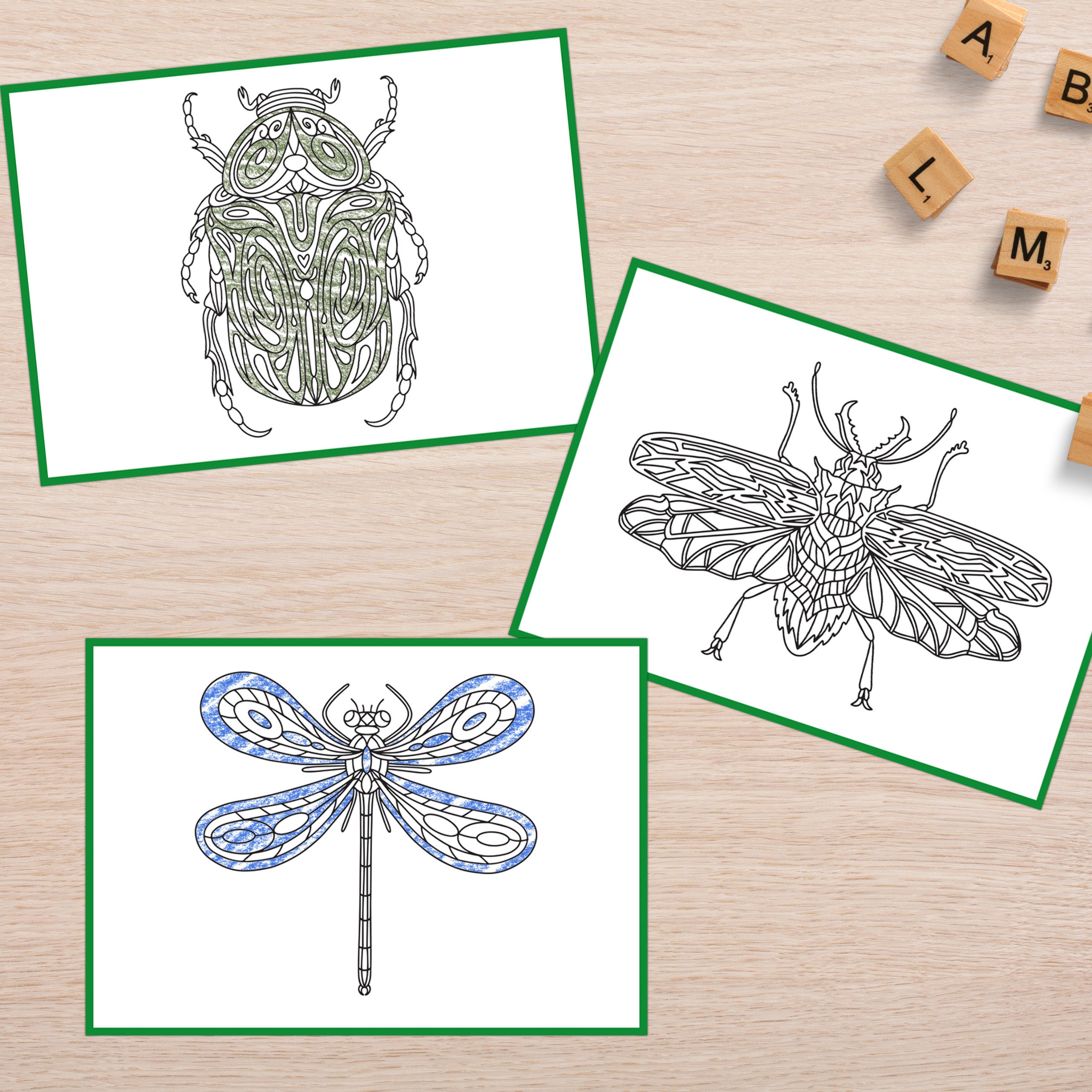 Bugs & Insects Busy Book: Toddler Learning Binder (digital Download) - Etsy