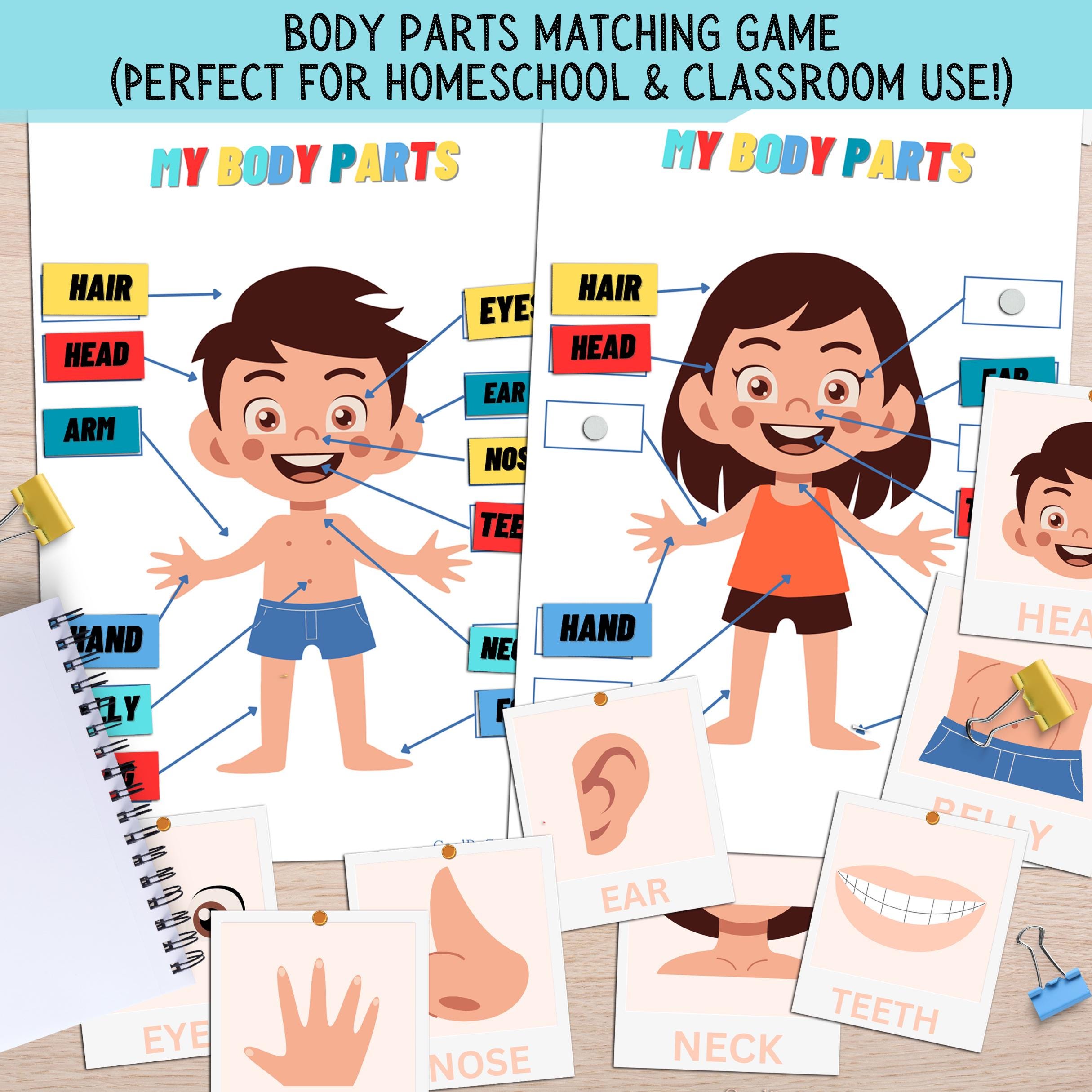 Body Parts Matching Game: Montessori Homeschool Printable Activity (PDF ...