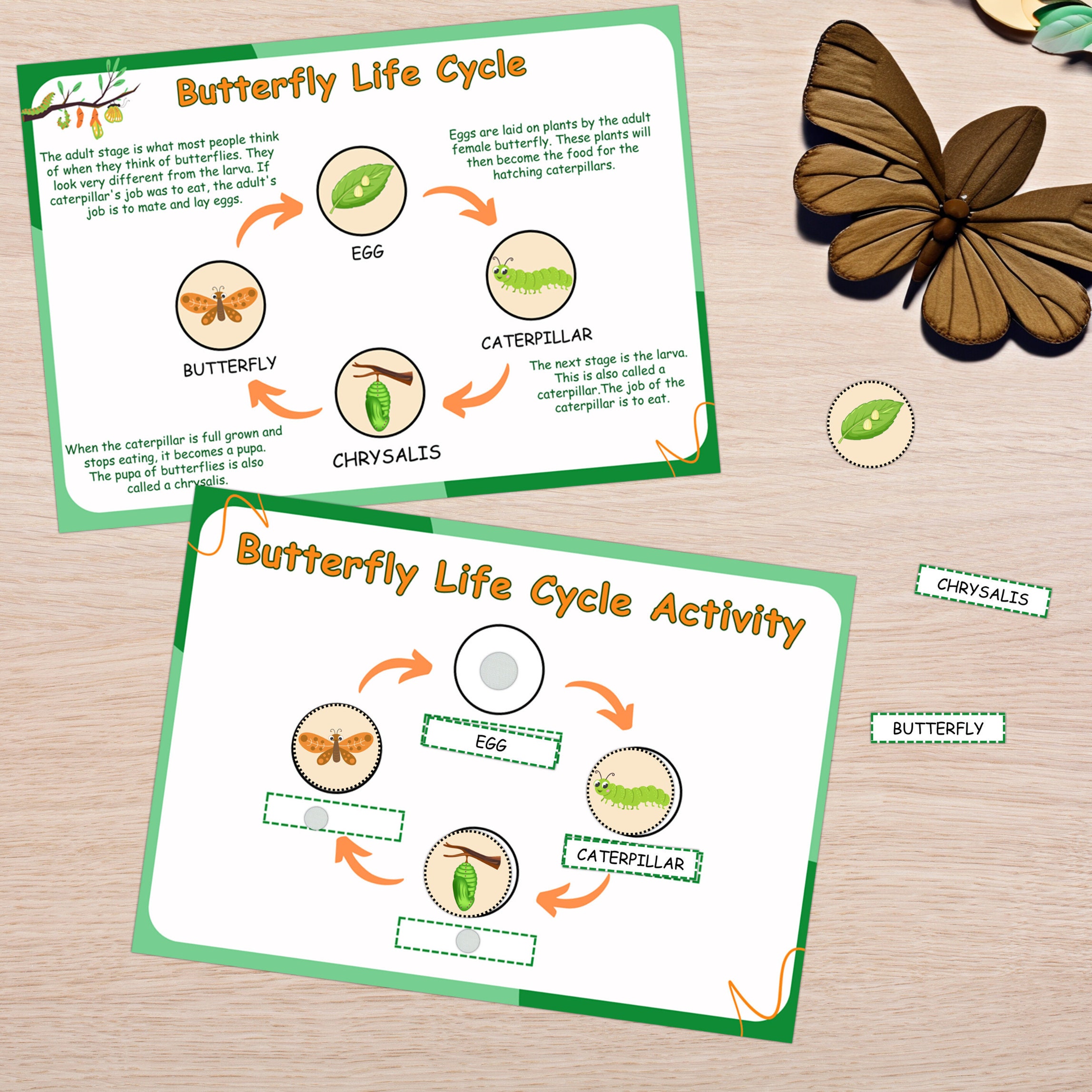 Bugs Busy Book Kids, Insects Flaschards Fun Facts, Learning Binder ...