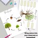 Trees and Leaves Unit Study for Kids | Fall Homeschool Printable ...