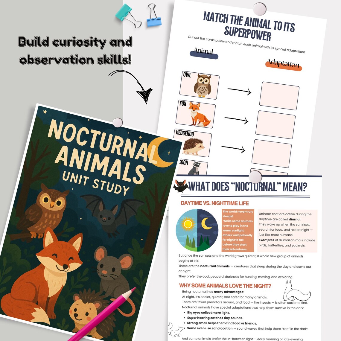 Nocturnal Animals Unit Study | Science & Literacy Activities ...