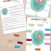 Animal Cell Structure Diagram Biology Lesson for Kids, Science Unit ...