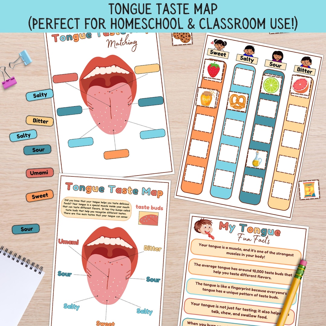 Tongue Taste Map Activity: Anatomy Learning Binder Pages (digital ...