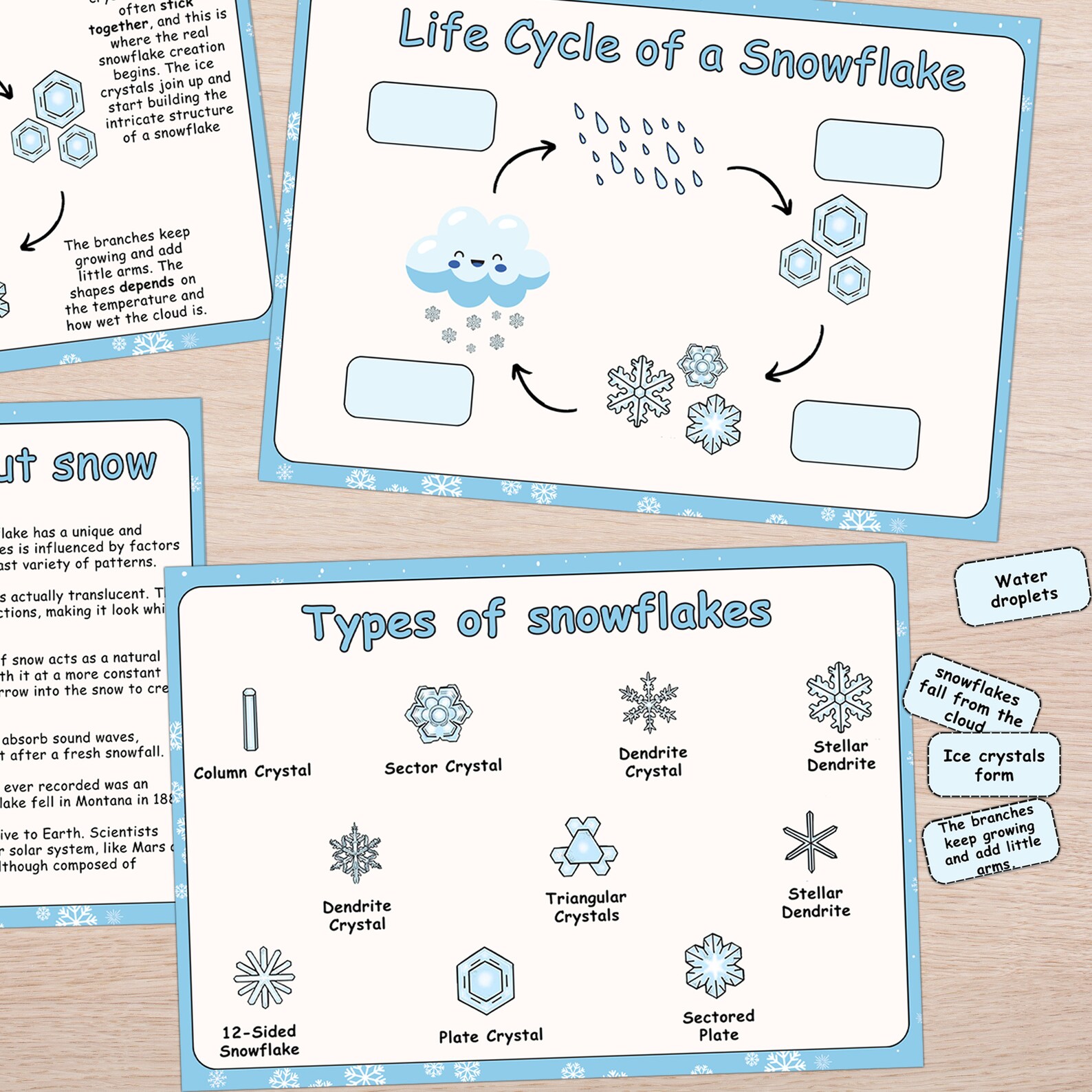 Snowflake Printable Winter Lesson Kids, Snow Unit Interactive Study ...