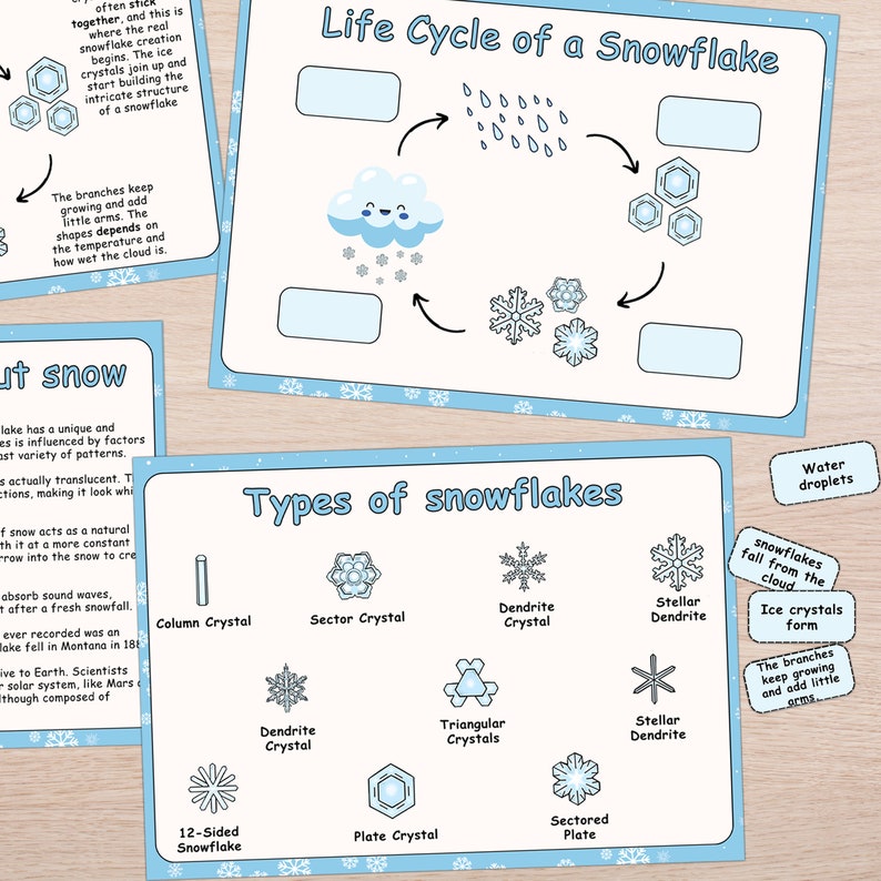 Snowflake Printable Winter Lesson Kids, Snow Unit Interactive Study ...