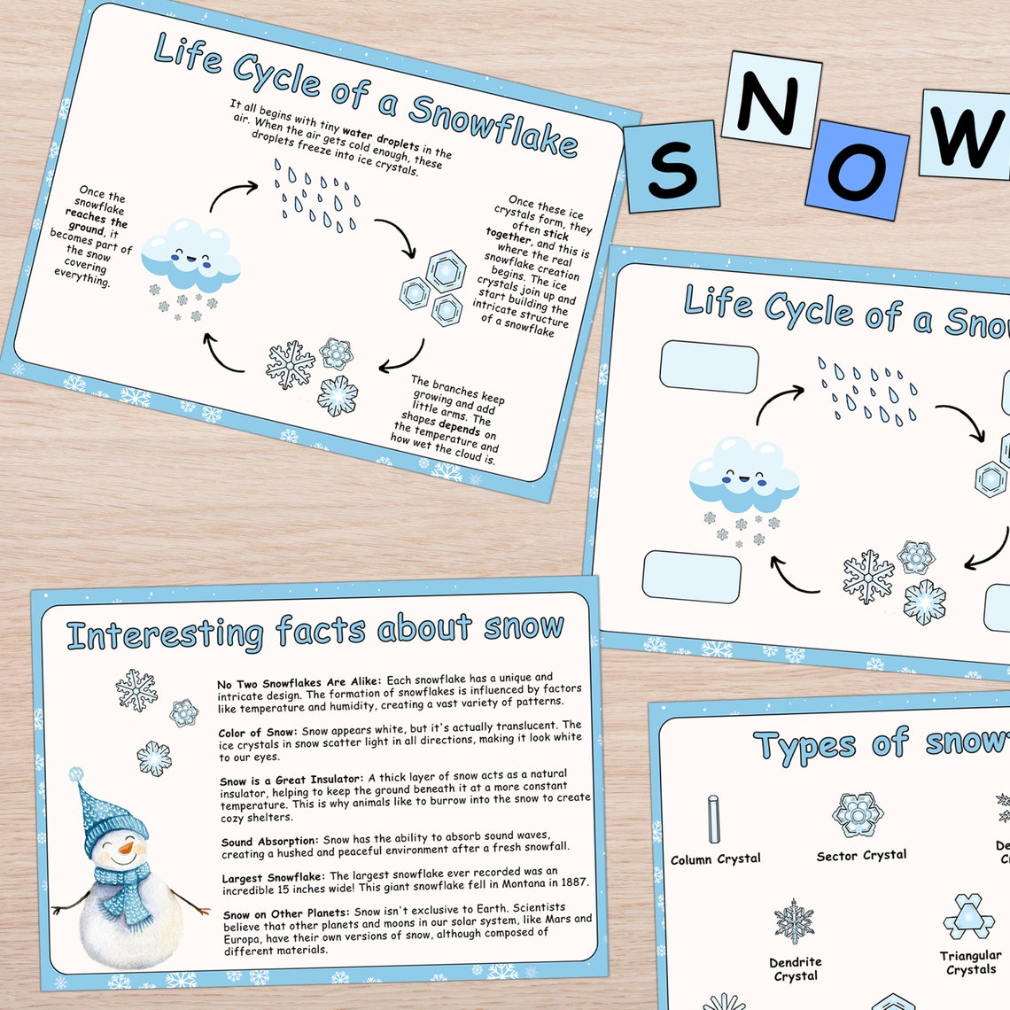 Snowflake Printable Winter Lesson Kids, Snow Unit Interactive Study ...