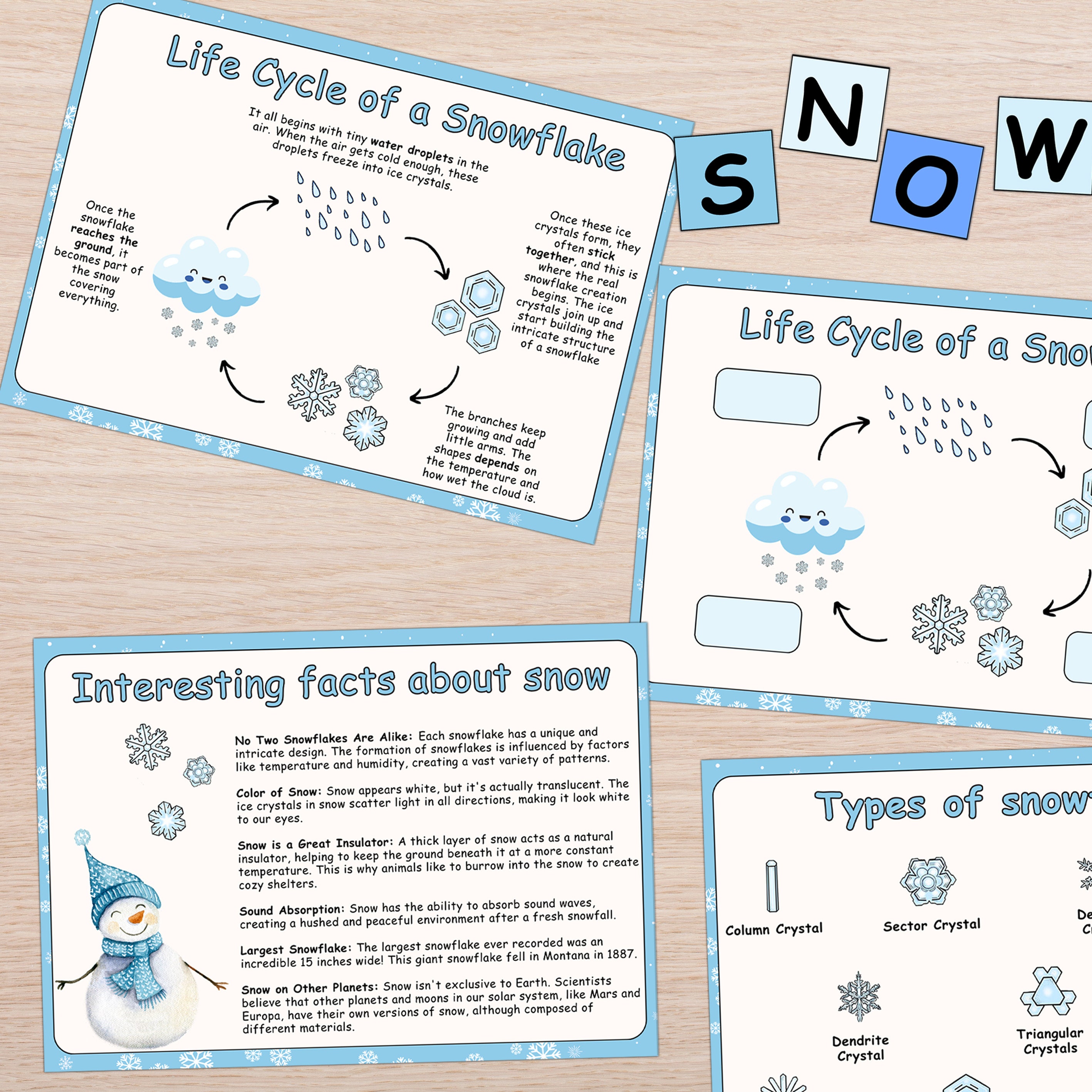 Snowflake Printable Winter Lesson Kids, Snow Unit Interactive Study ...