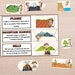 Landforms Kids Printable Activity Lesson, Geography Busy Pages Types of ...
