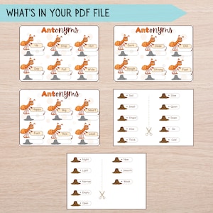 Antonyms Activity Printable Lesson for Kids, Learning English, Word ...