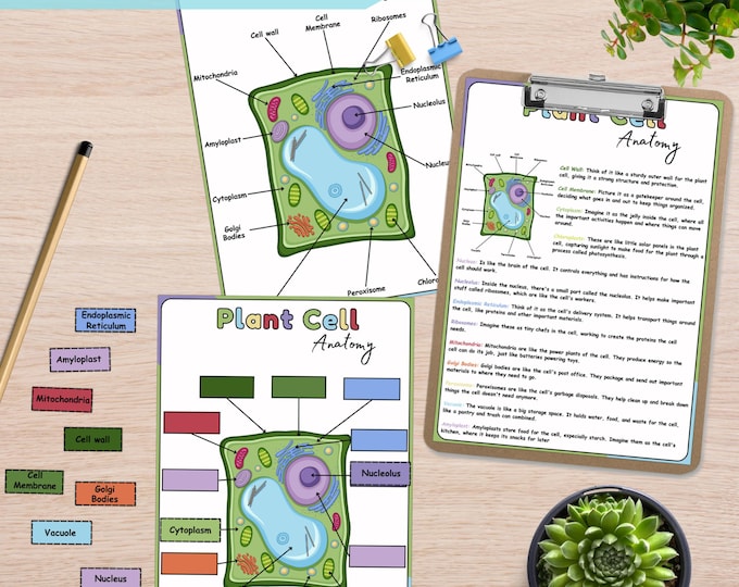 Animal Cell SVG and PDF Printable- a Homeschool or Classroom Science ...