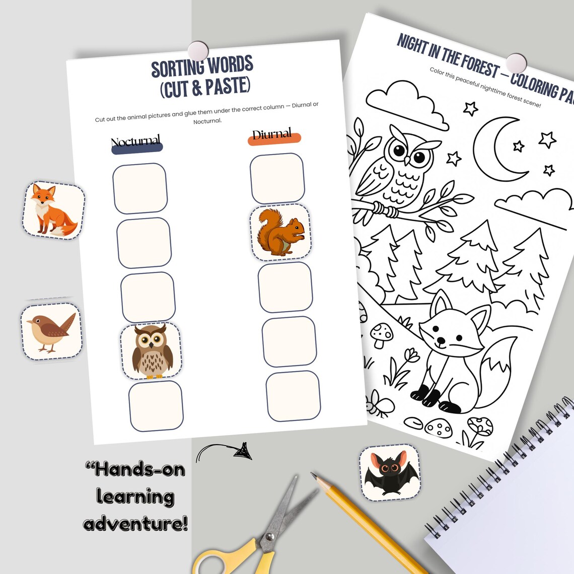 Nocturnal Animals Unit Study | Science & Literacy Activities ...