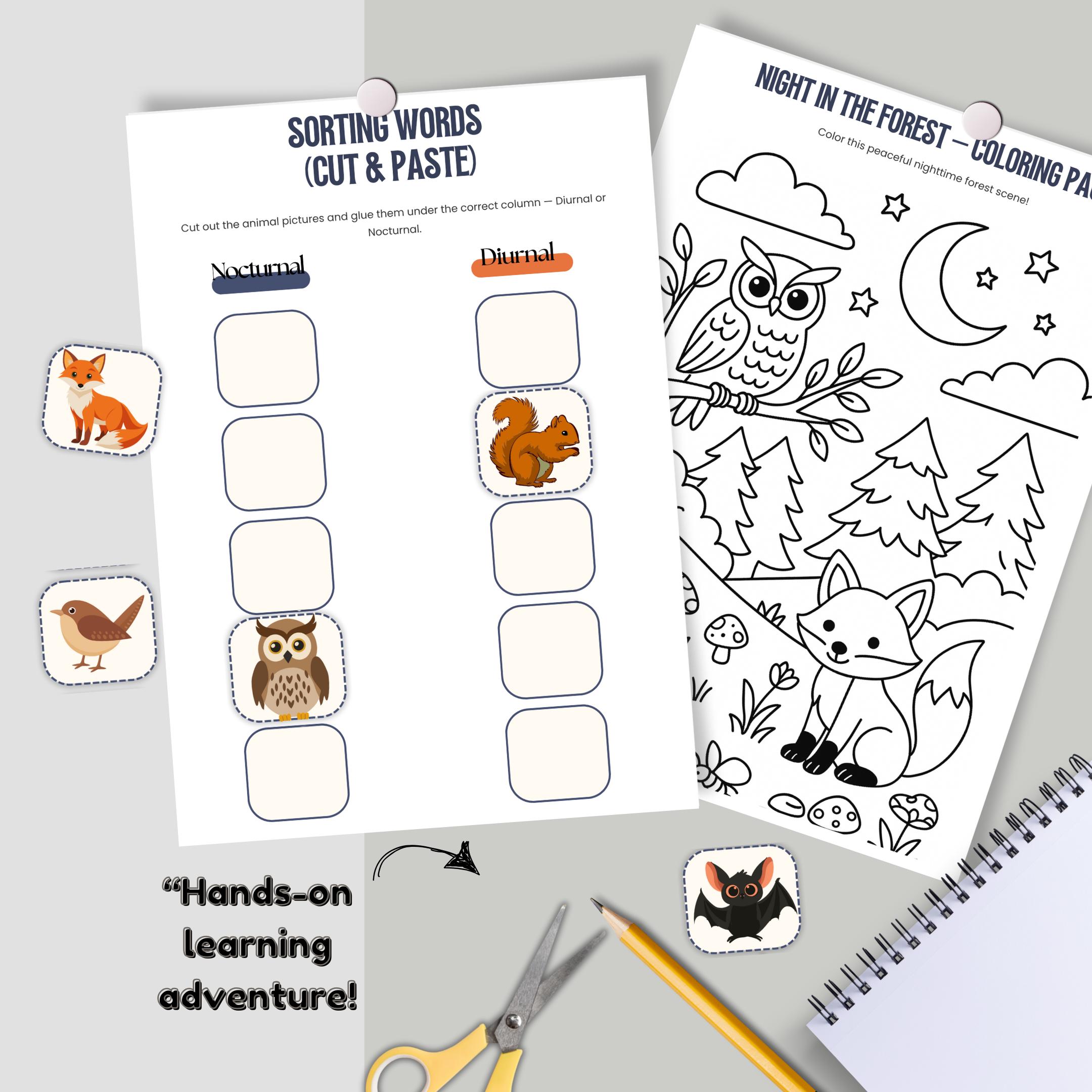Nocturnal Animals Unit Study | Science & Literacy Activities ...