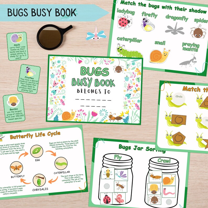 Bugs Busy Book Kids, Insects Flaschards Fun Facts, Learning Binder ...