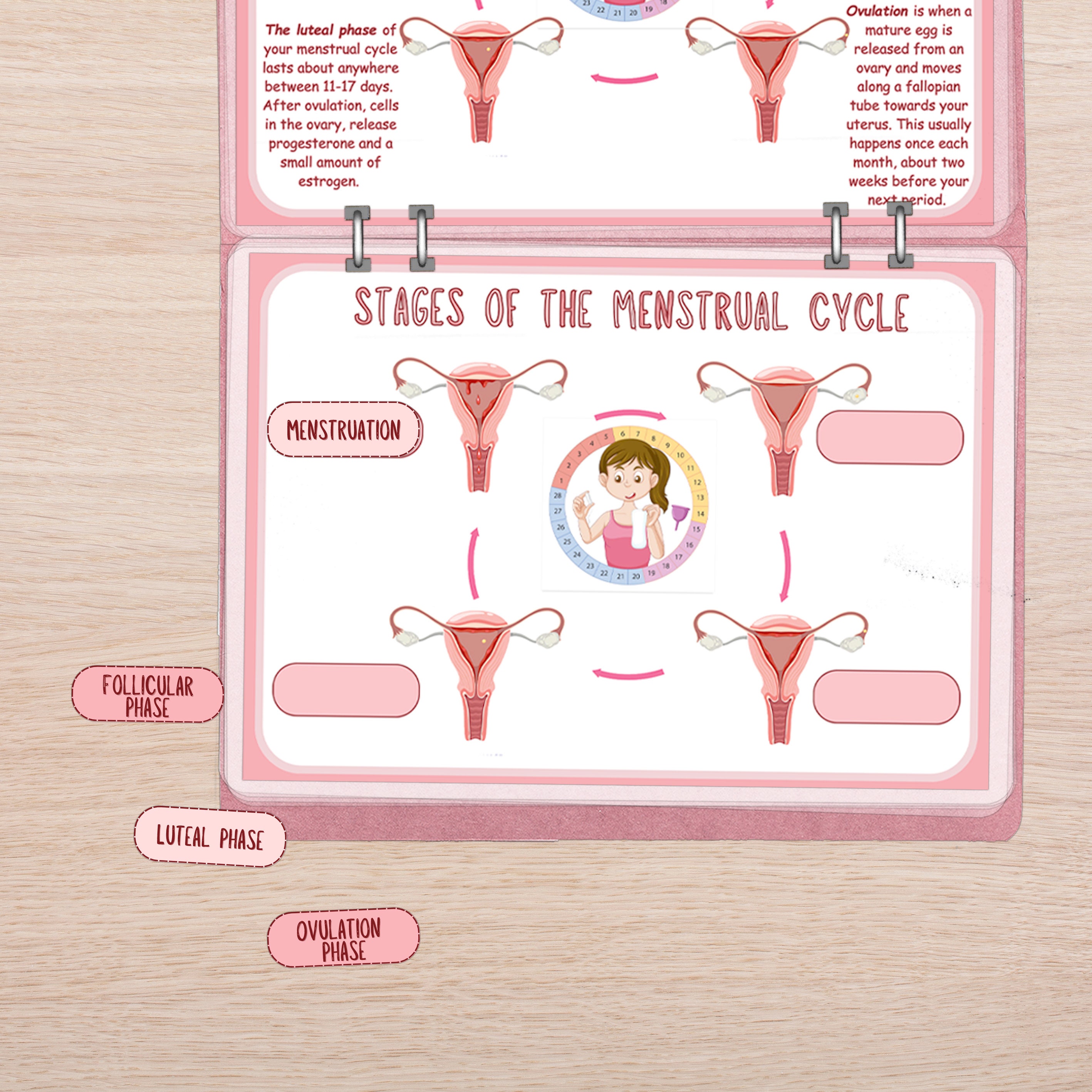 Girls Puberty Guide Teenagers, Personal Hygiene, Emotional Changes ...