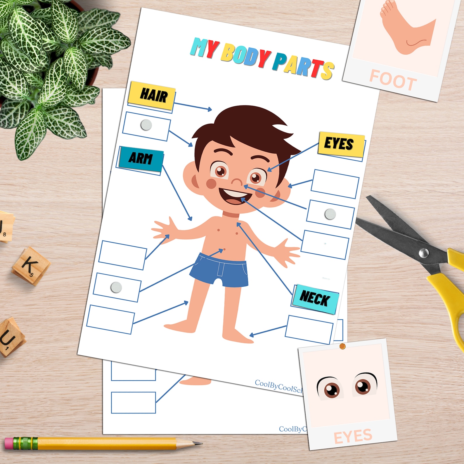 Body Parts Printable Activity, My Body Flash Cards for Toddlers ...