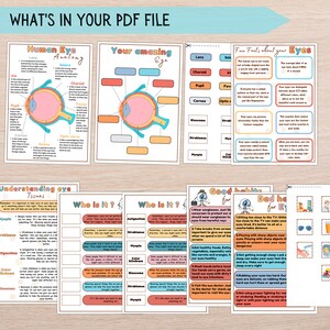 Eye Anatomy Activity for Kids: Printable Diagram & Science Game (PDF ...