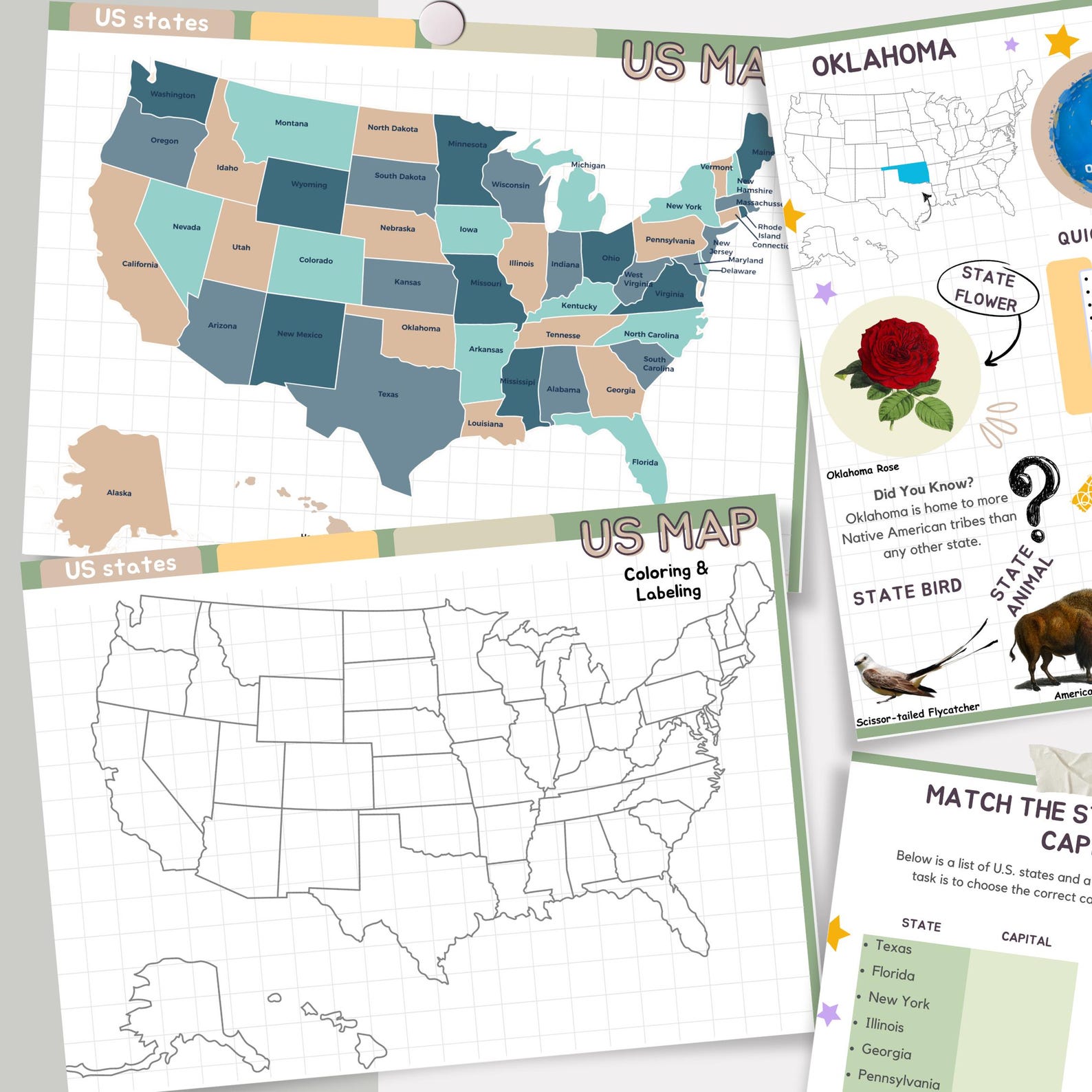 US States Unit Study: United States, 50 States Printable Pack for Kids ...
