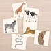 Animal Pattern Matching, Busy Book Activity Page Toddler, Animals Unit ...