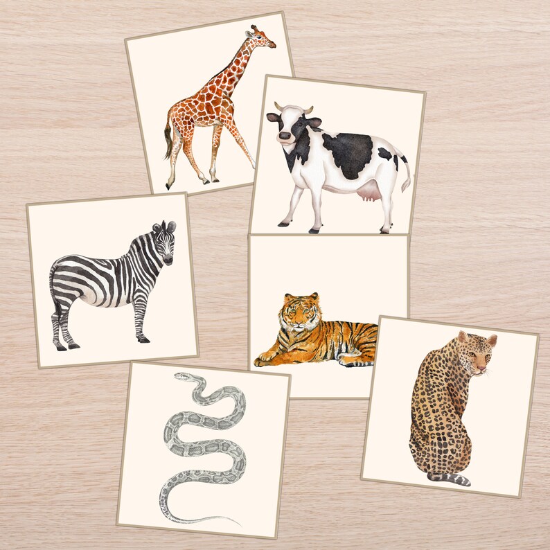 Animal Pattern Matching, Busy Book Activity Page Toddler, Animals Unit ...