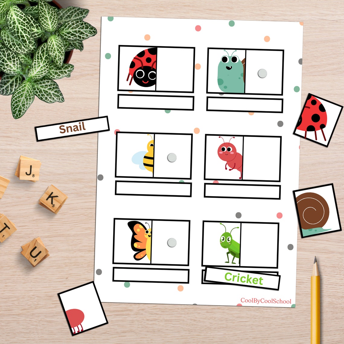 Bug Matching Puzzle Printable, Bugs Worksheets for Toddler, Insects ...