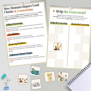 Food Chains and Ecosystems Unit Study, Cut & Paste Sorting Games ...