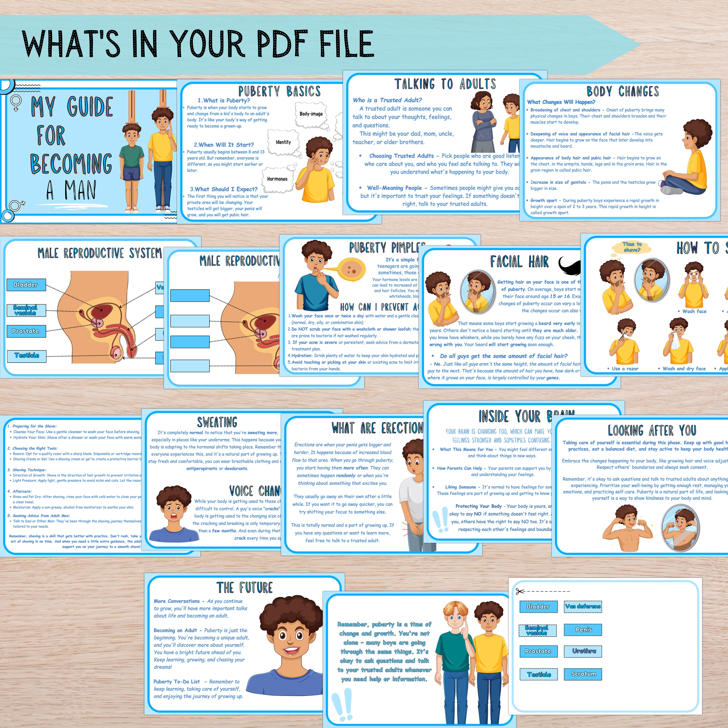 Boys Puberty Guide: Teenage Hygiene & Body Changes (digital Download ...