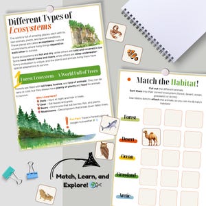 Food Chains and Ecosystems Unit Study, Cut & Paste Sorting Games ...