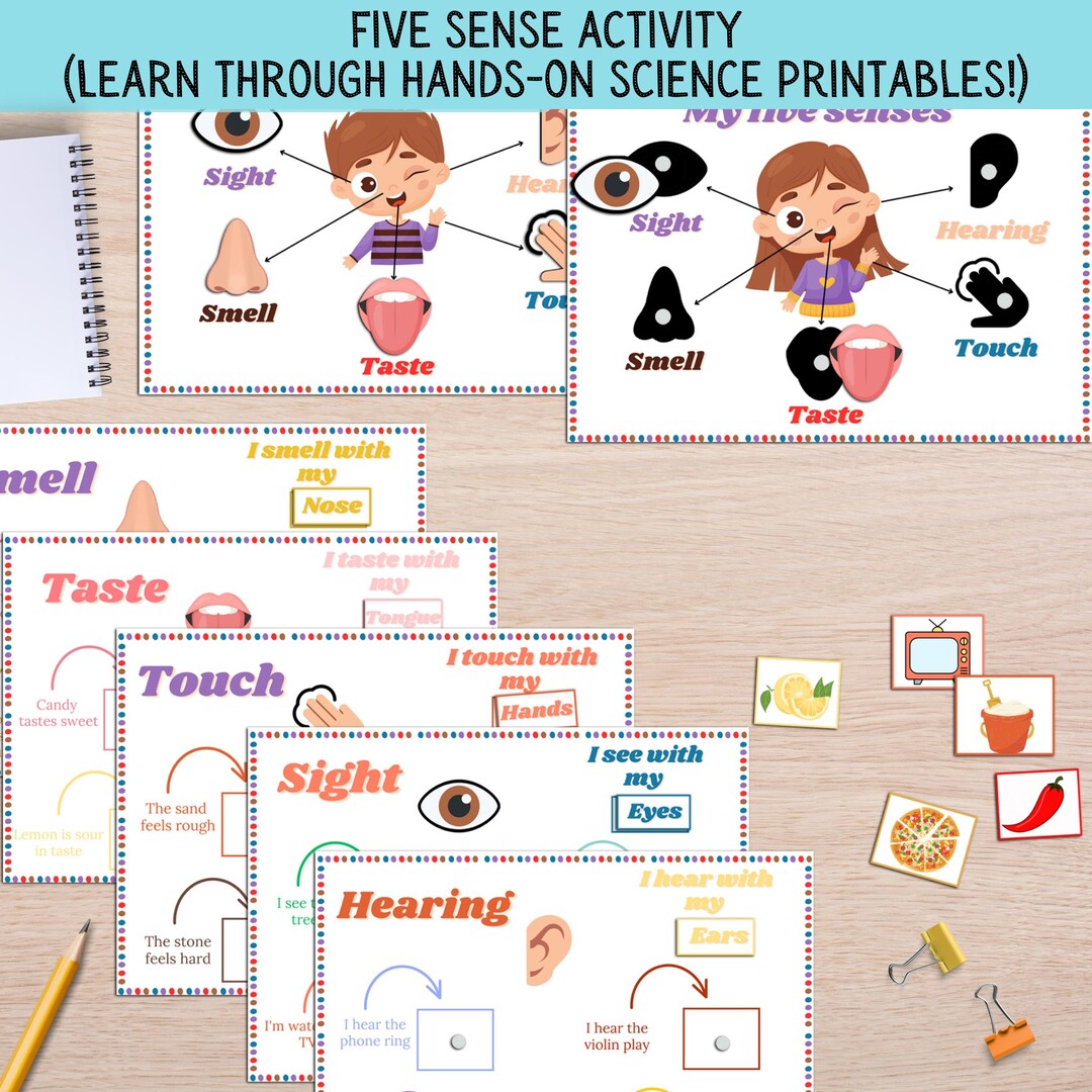 Aprendizaje de los cinco sentidos imprimible: Actividad de ...