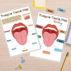 Tongue Taste Map Activity: Anatomy Learning Binder Pages (digital ...