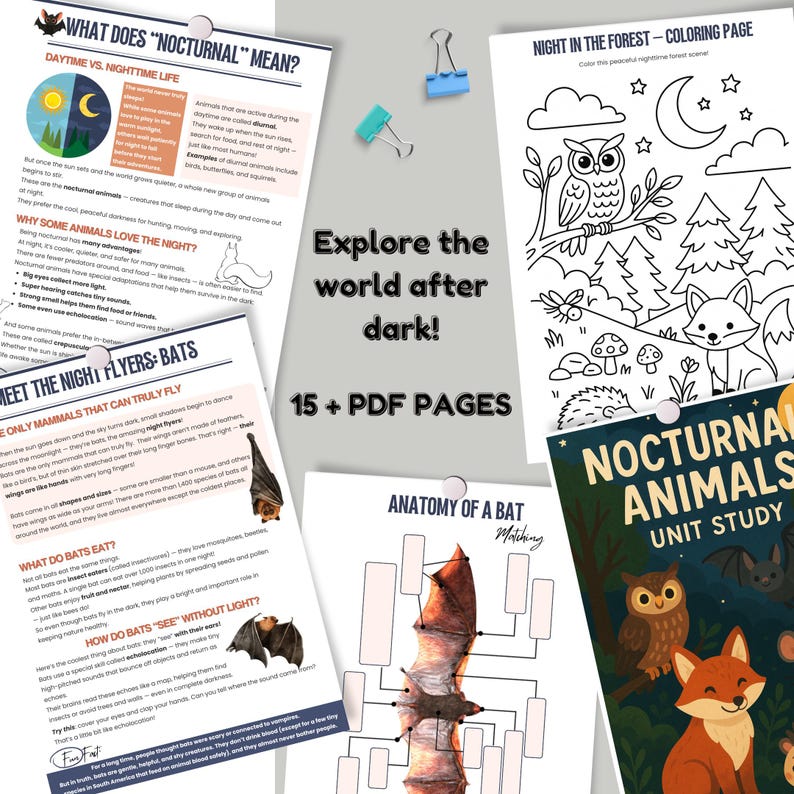 Nocturnal Animals Unit Study | Science & Literacy Activities ...