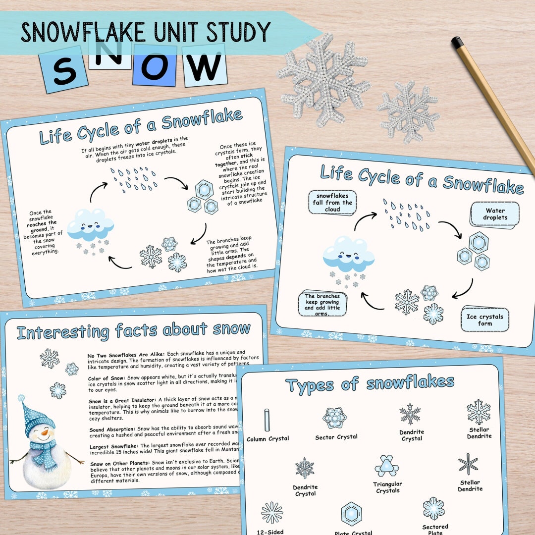 Snowflake Printable Winter Lesson Kids, Snow Unit Interactive Study ...