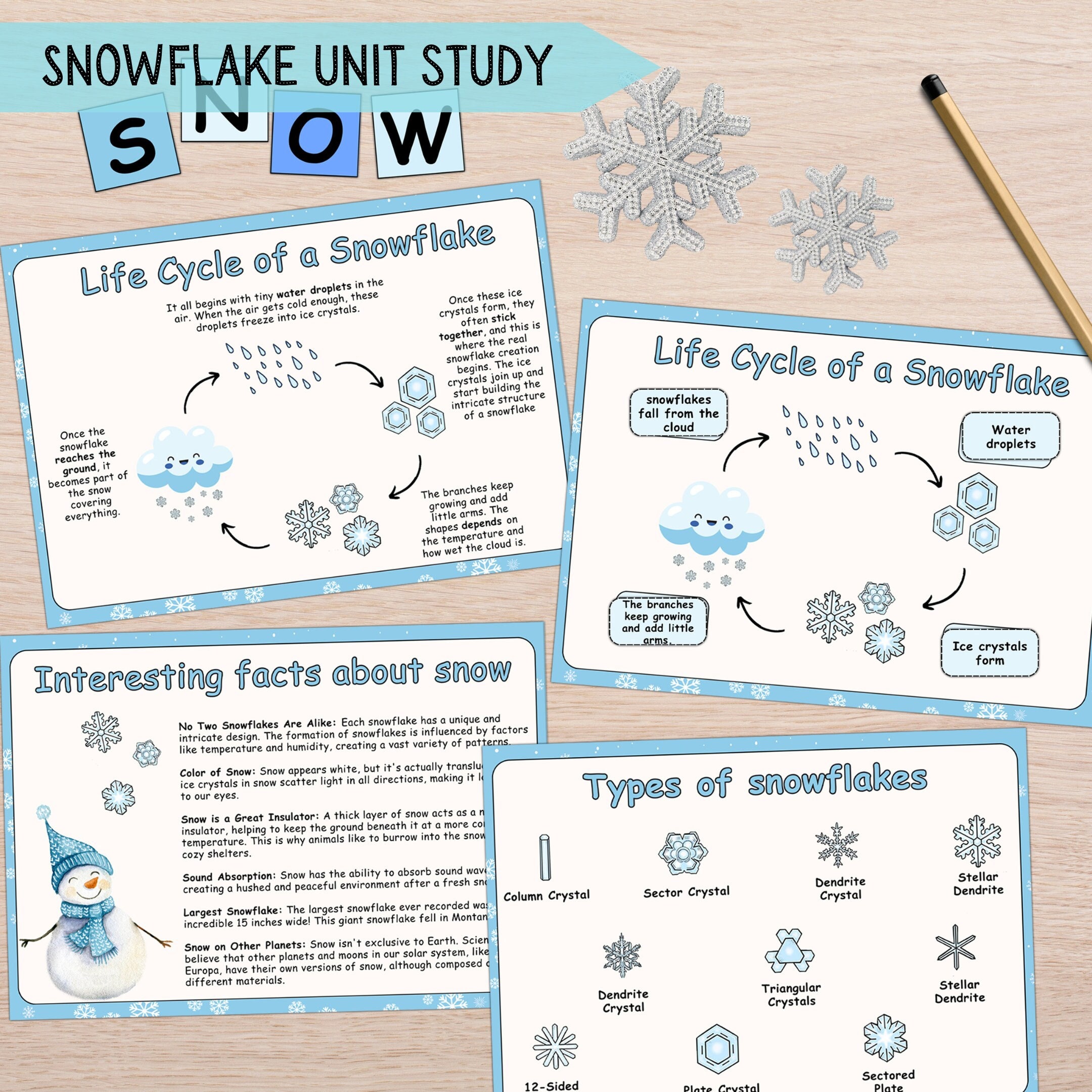Snowflake Printable Winter Lesson Kids, Snow Unit Interactive Study ...