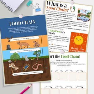 Food Chains and Ecosystems Unit Study, Cut & Paste Sorting Games ...